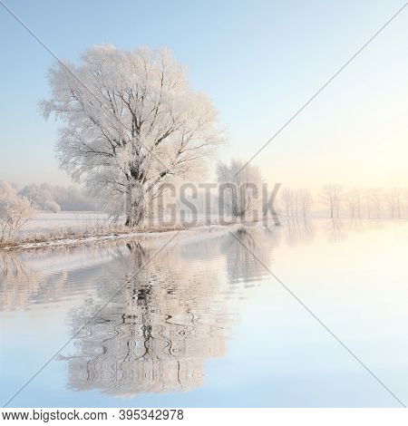 Winter Tree Sunrise Image & Photo (Free Trial) | Bigstock