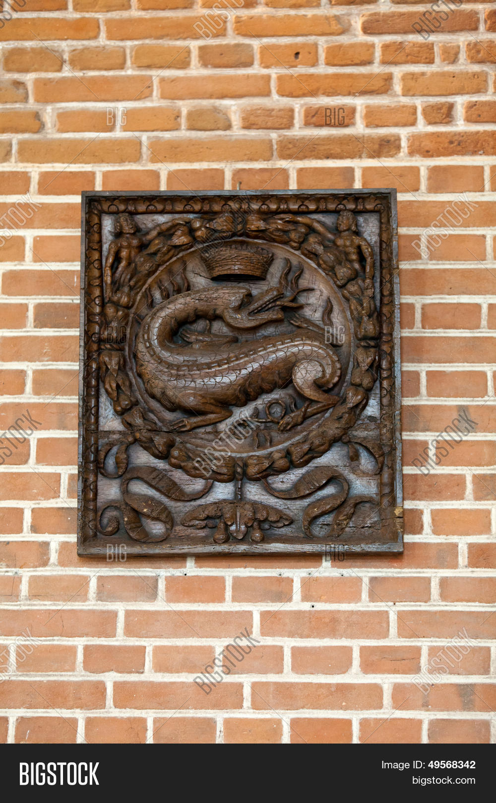 Salamander - Symbol Image & Photo (Free Trial) | Bigstock