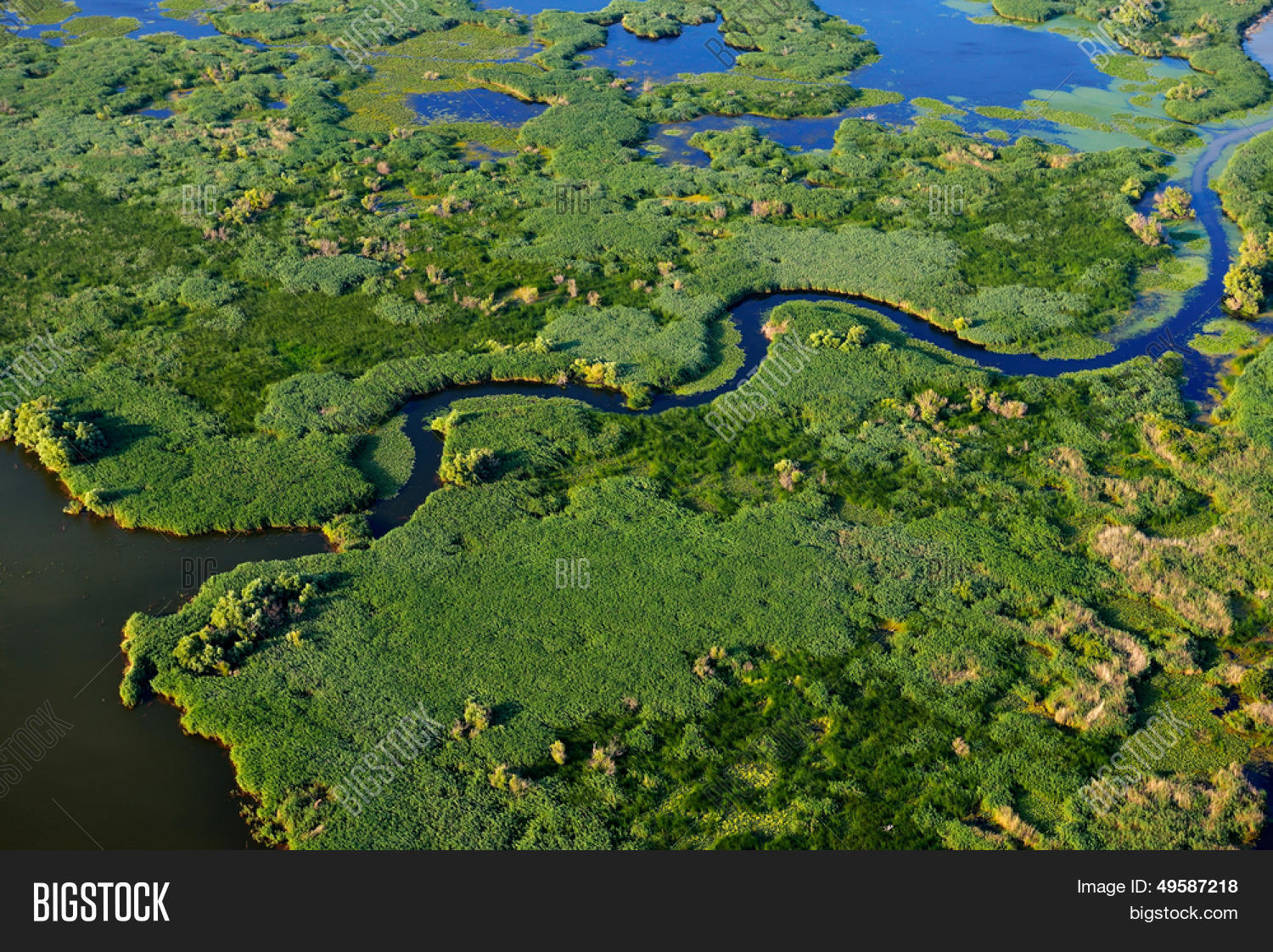 Aerial View Wetland Image & Photo (Free Trial) | Bigstock