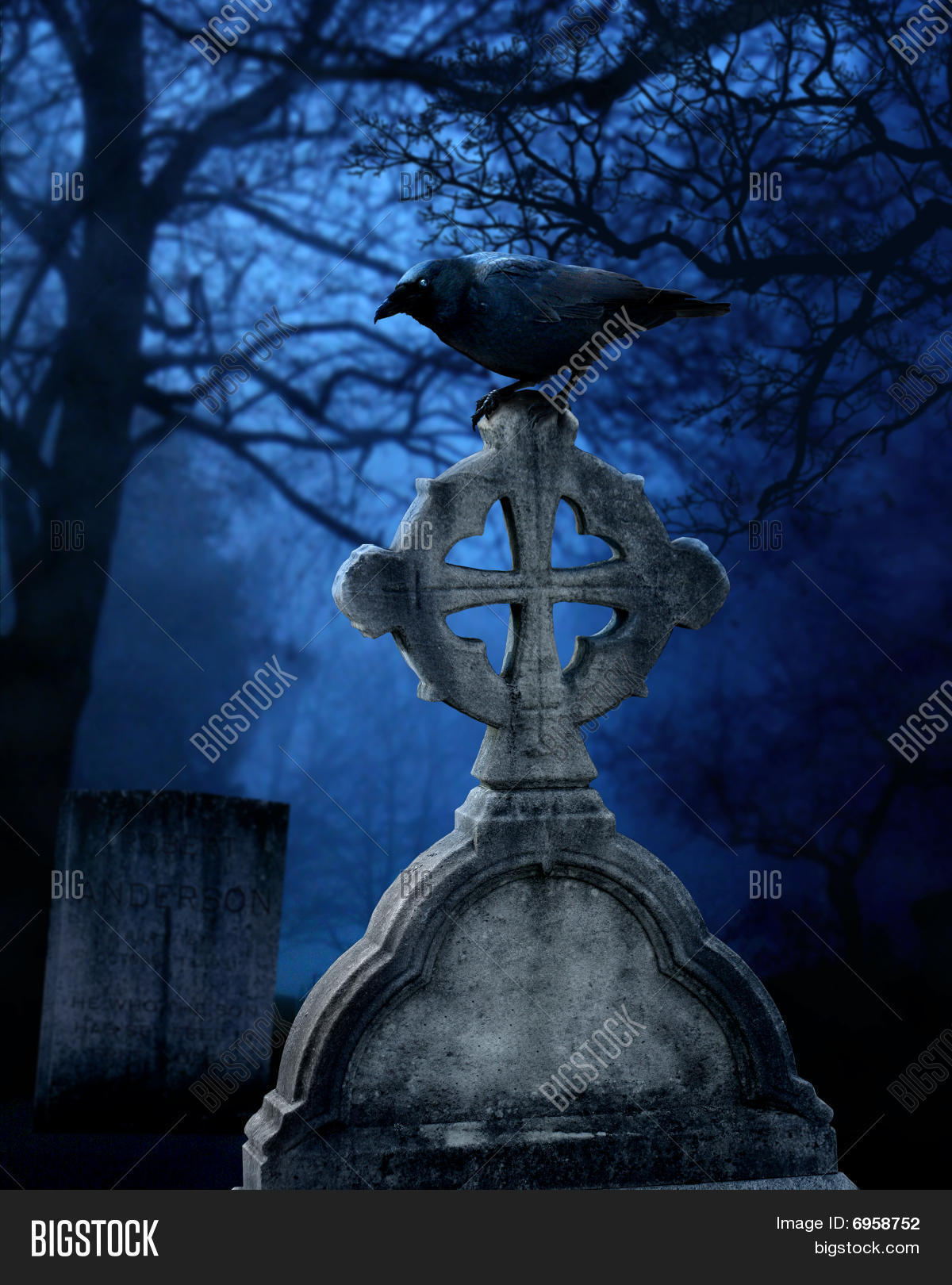 Cemetery Crow Image & Photo (Free Trial) | Bigstock