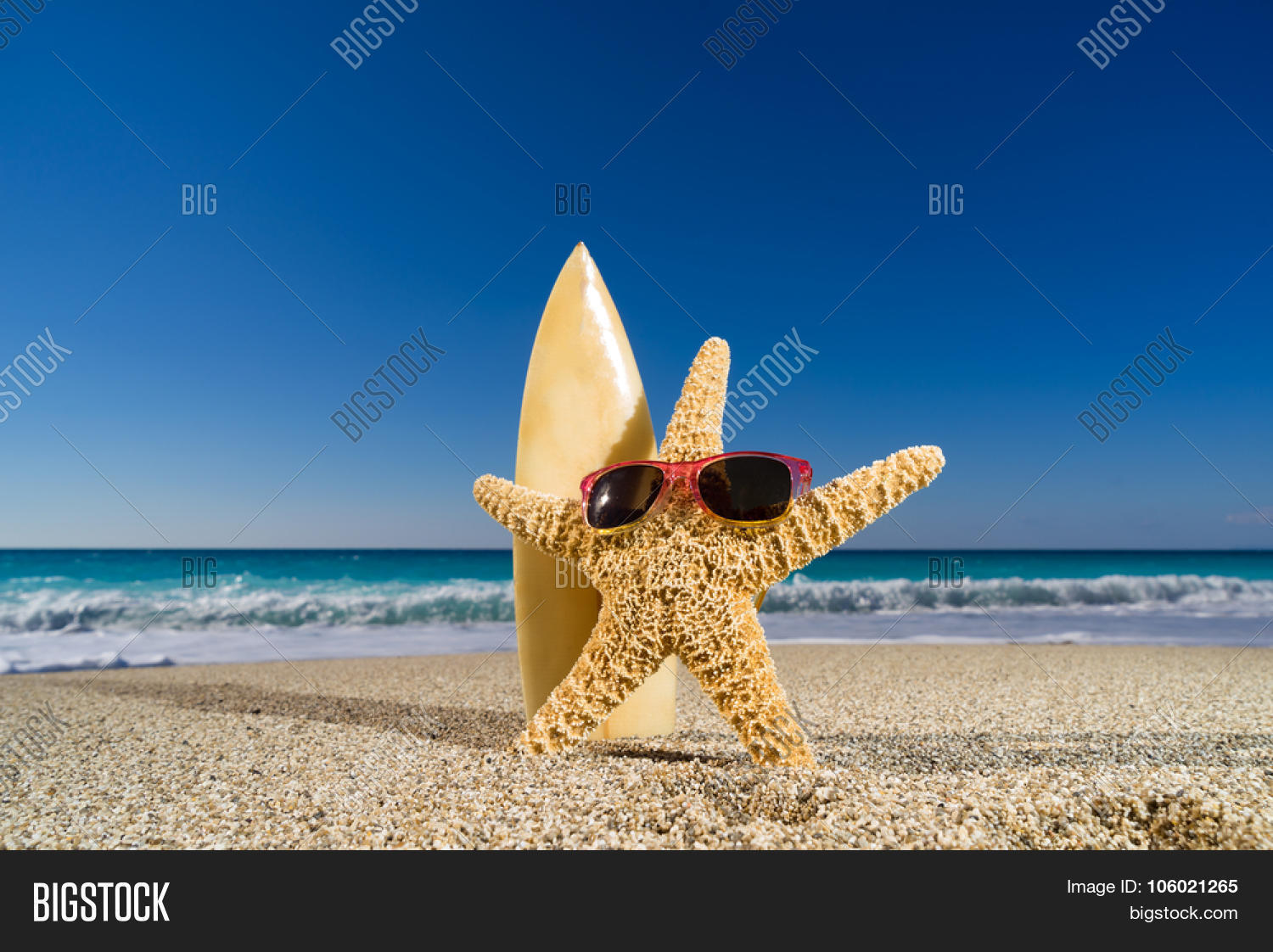 Starfish On Sandy Image & Photo (Free Trial) | Bigstock