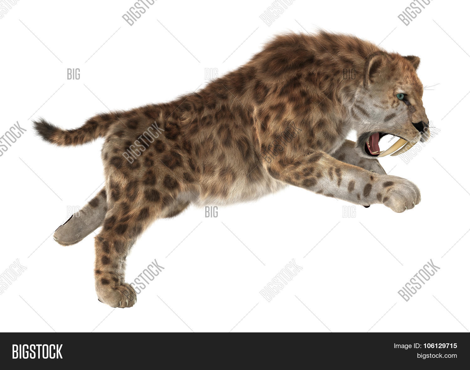 Big Cat Sabertooth Image & Photo (Free Trial) | Bigstock