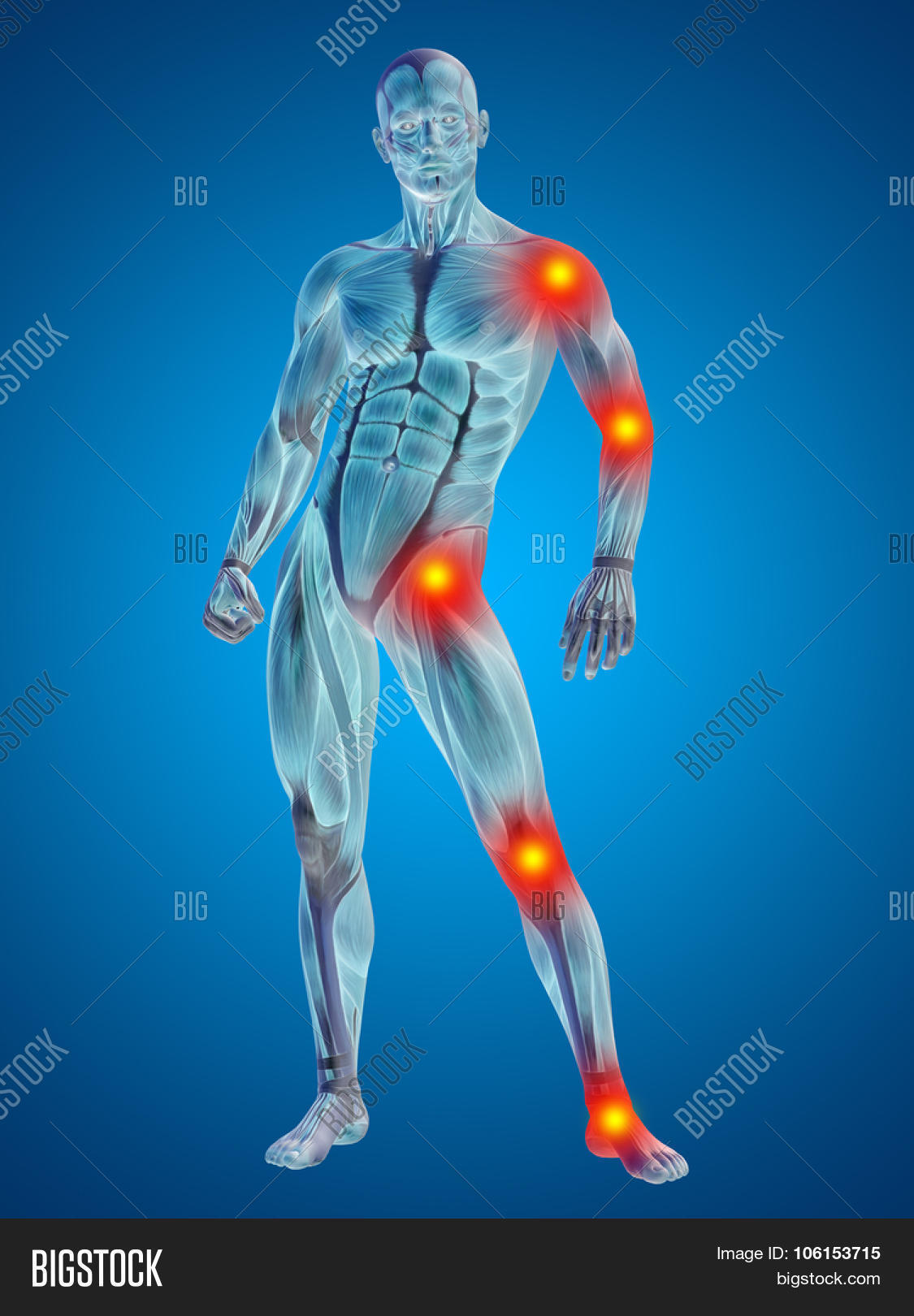 3D Human Man Muscles Image & Photo (Free Trial) | Bigstock
