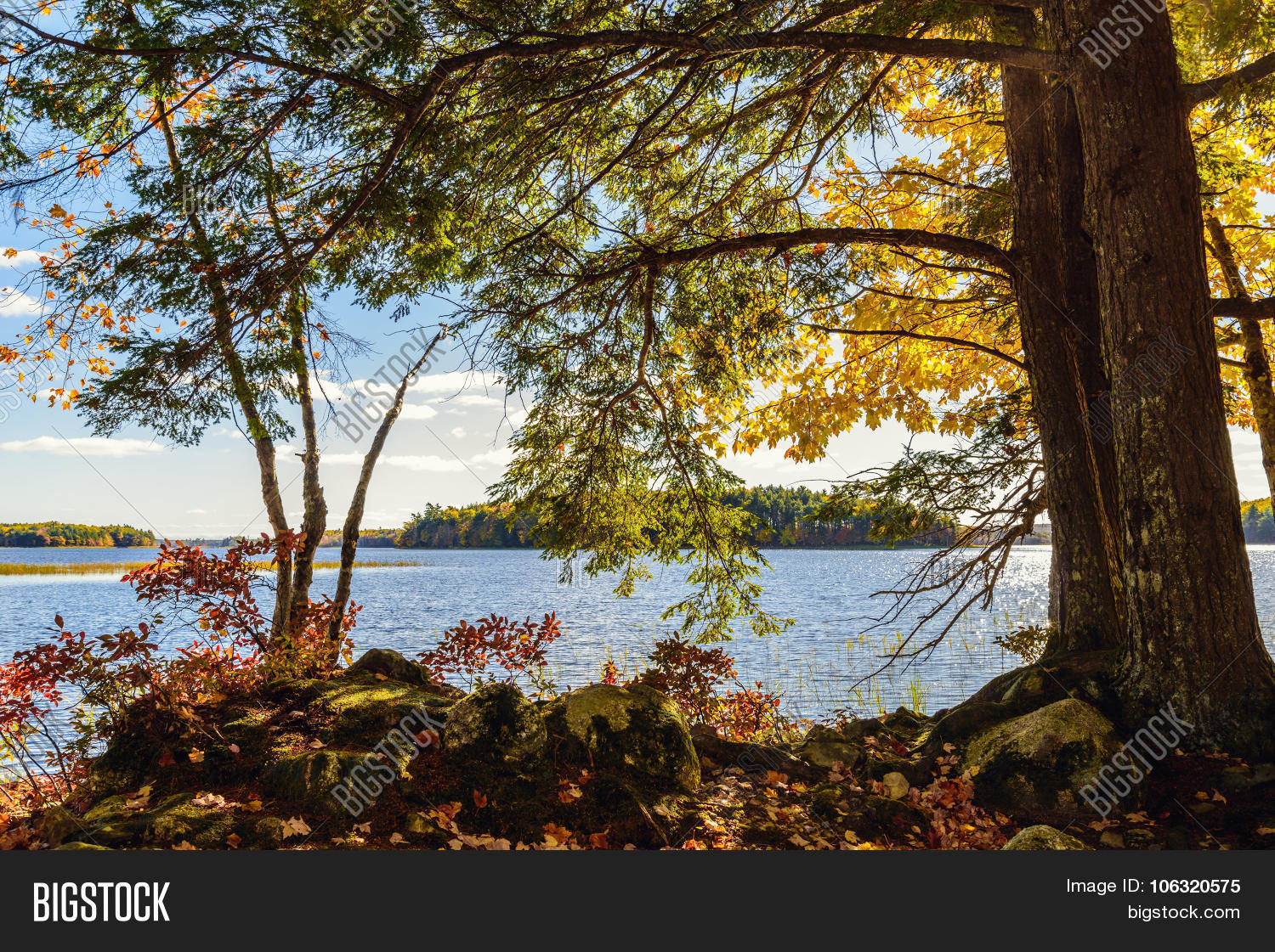 Shore Kejimkujik Lake Image & Photo (Free Trial) | Bigstock