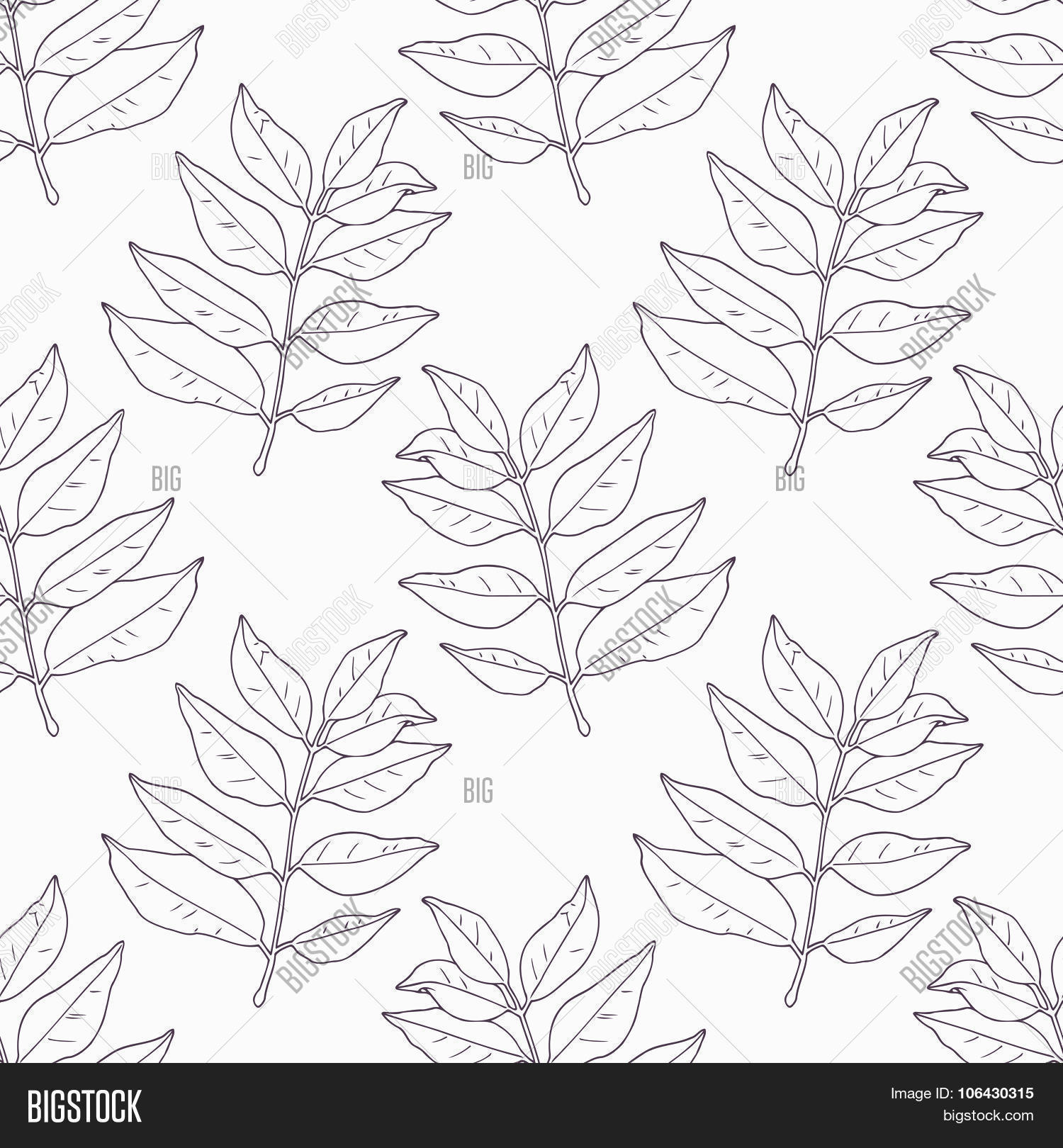 Hand Drawn Curry Vector & Photo (Free Trial) | Bigstock