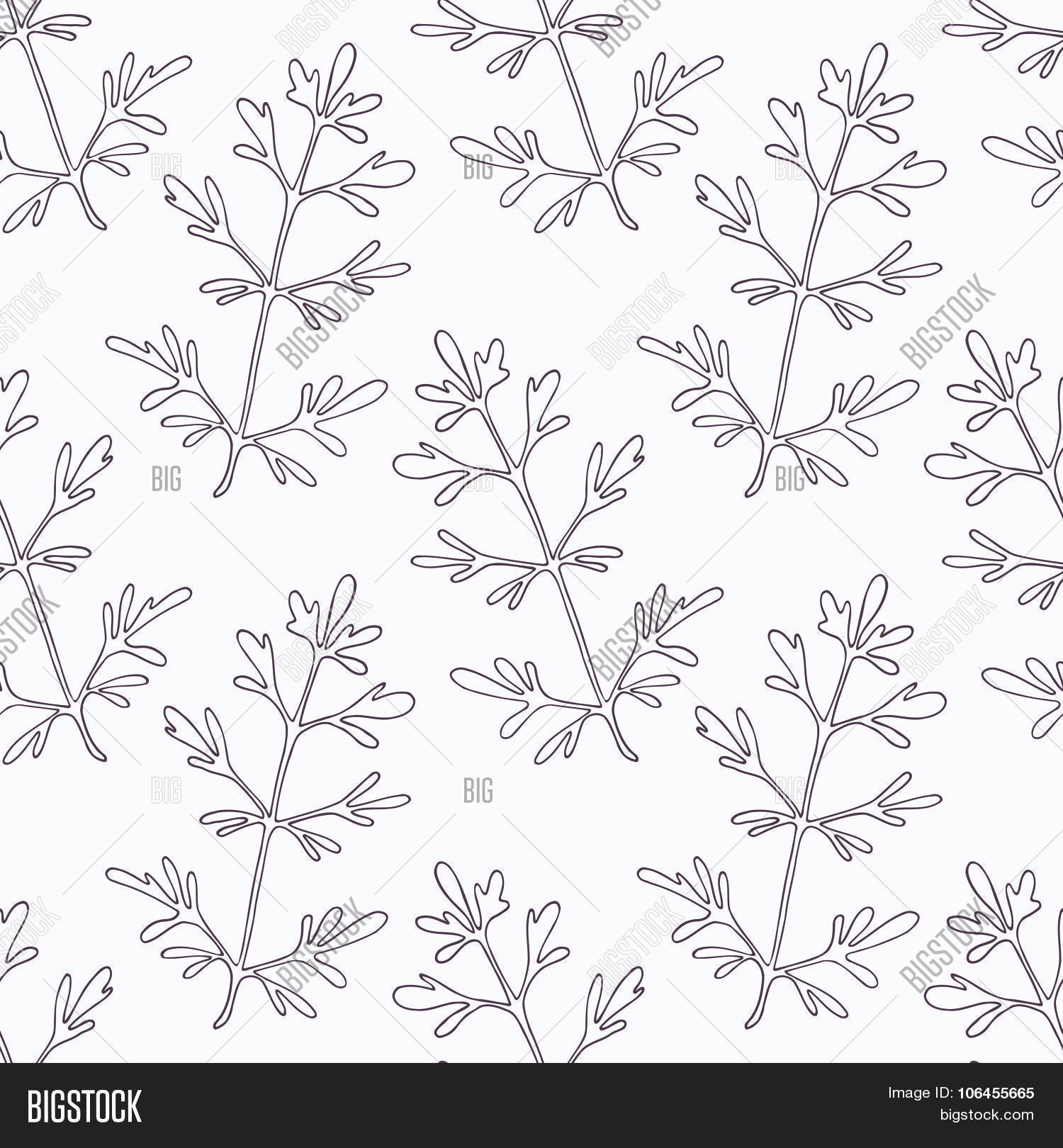 Hand Drawn Ruta Rue Vector & Photo (Free Trial) | Bigstock