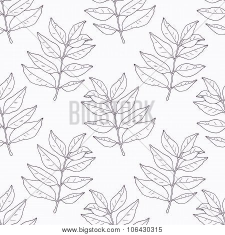 Hand Drawn Curry Vector & Photo (Free Trial) | Bigstock