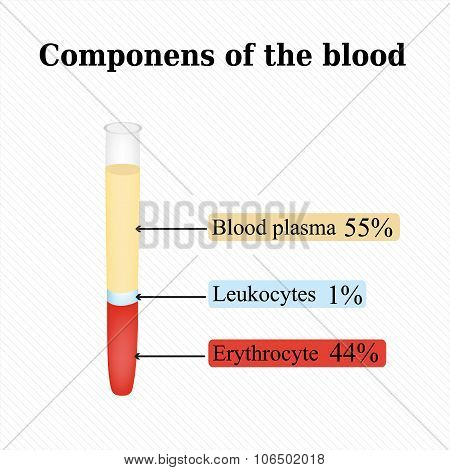 Components Blood. Vector & Photo (Free Trial) | Bigstock
