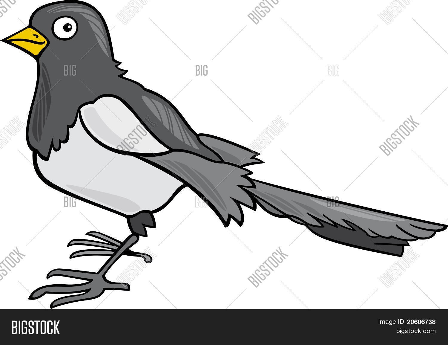 Cartoon Magpie Vector & Photo (Free Trial) | Bigstock