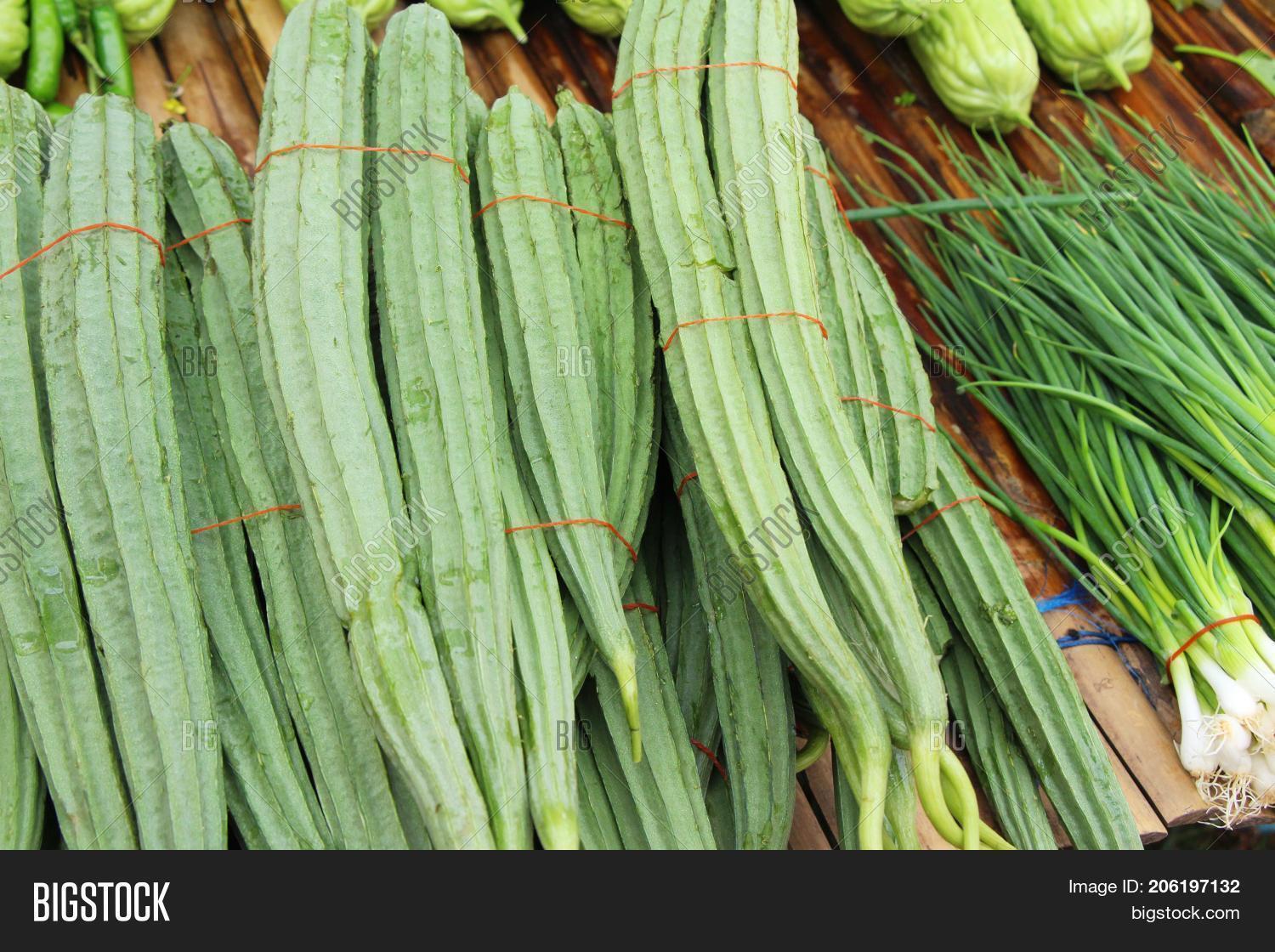 Fresh Luffa Acutangula Image & Photo (Free Trial) | Bigstock