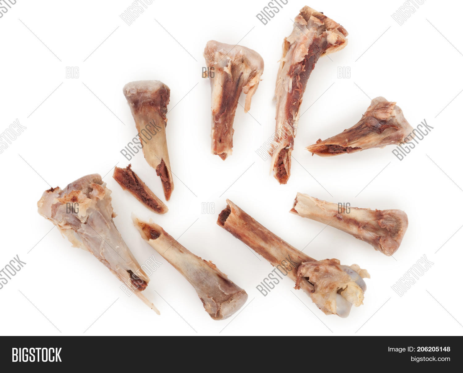 Broken Chicken Bones Image & Photo (Free Trial) | Bigstock