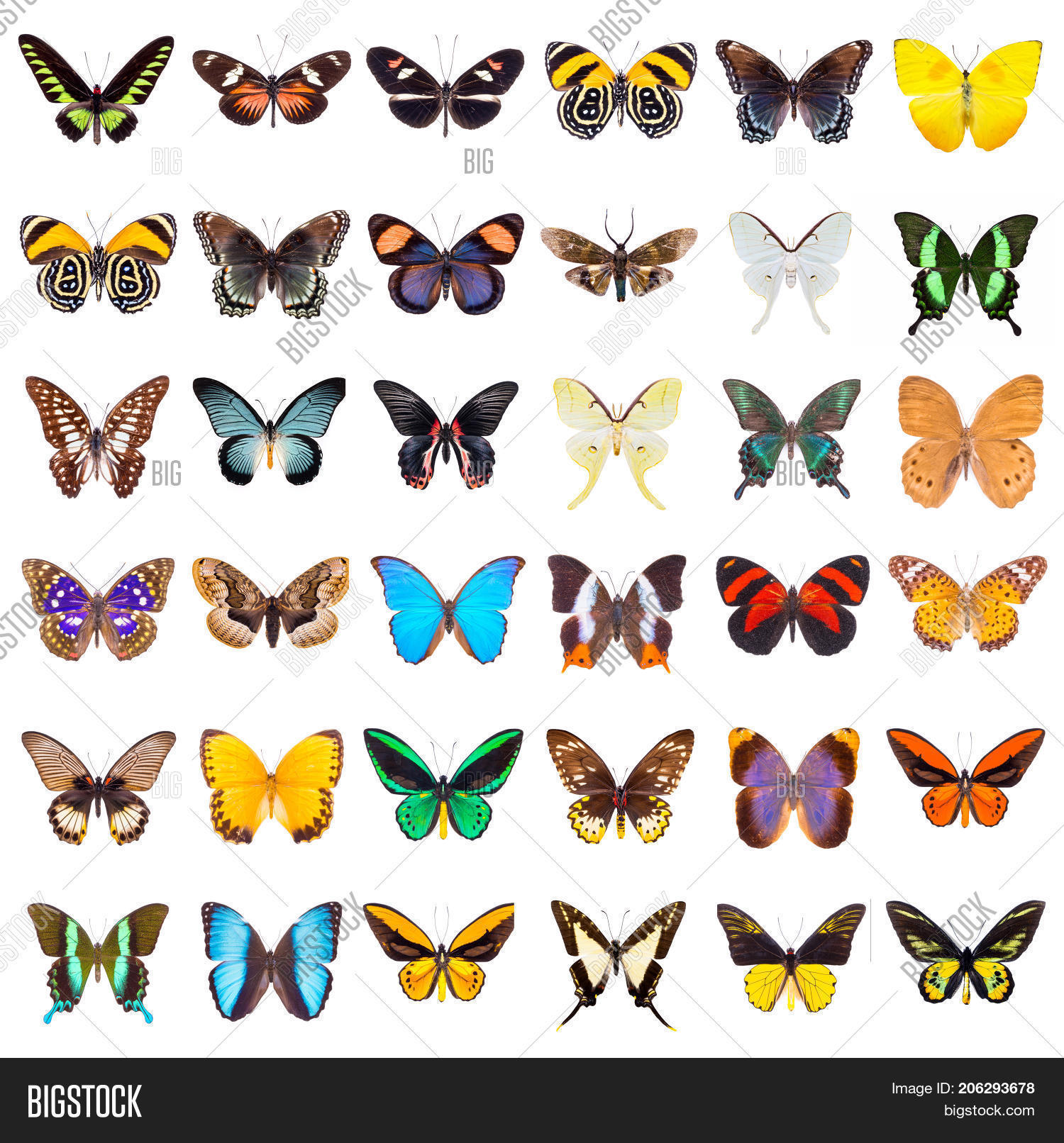 Set Beautiful Colorful Image & Photo (Free Trial) | Bigstock