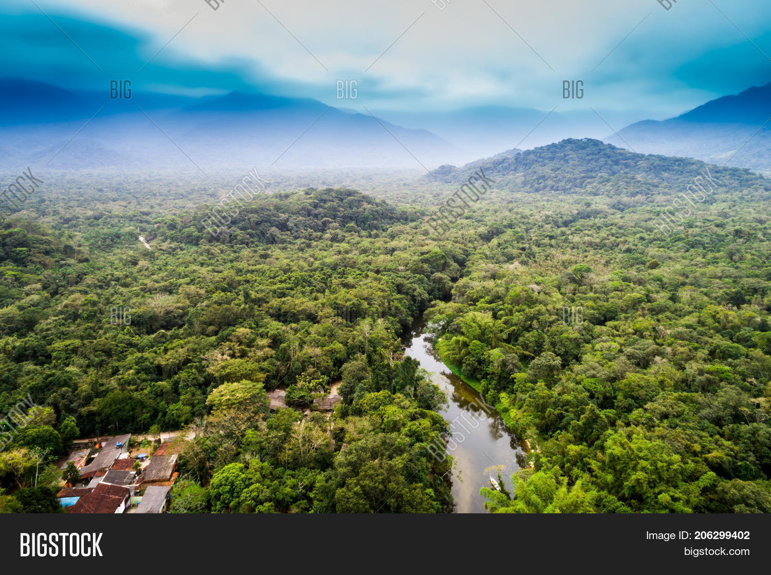 Aerial View Amazon Image & Photo (Free Trial) | Bigstock