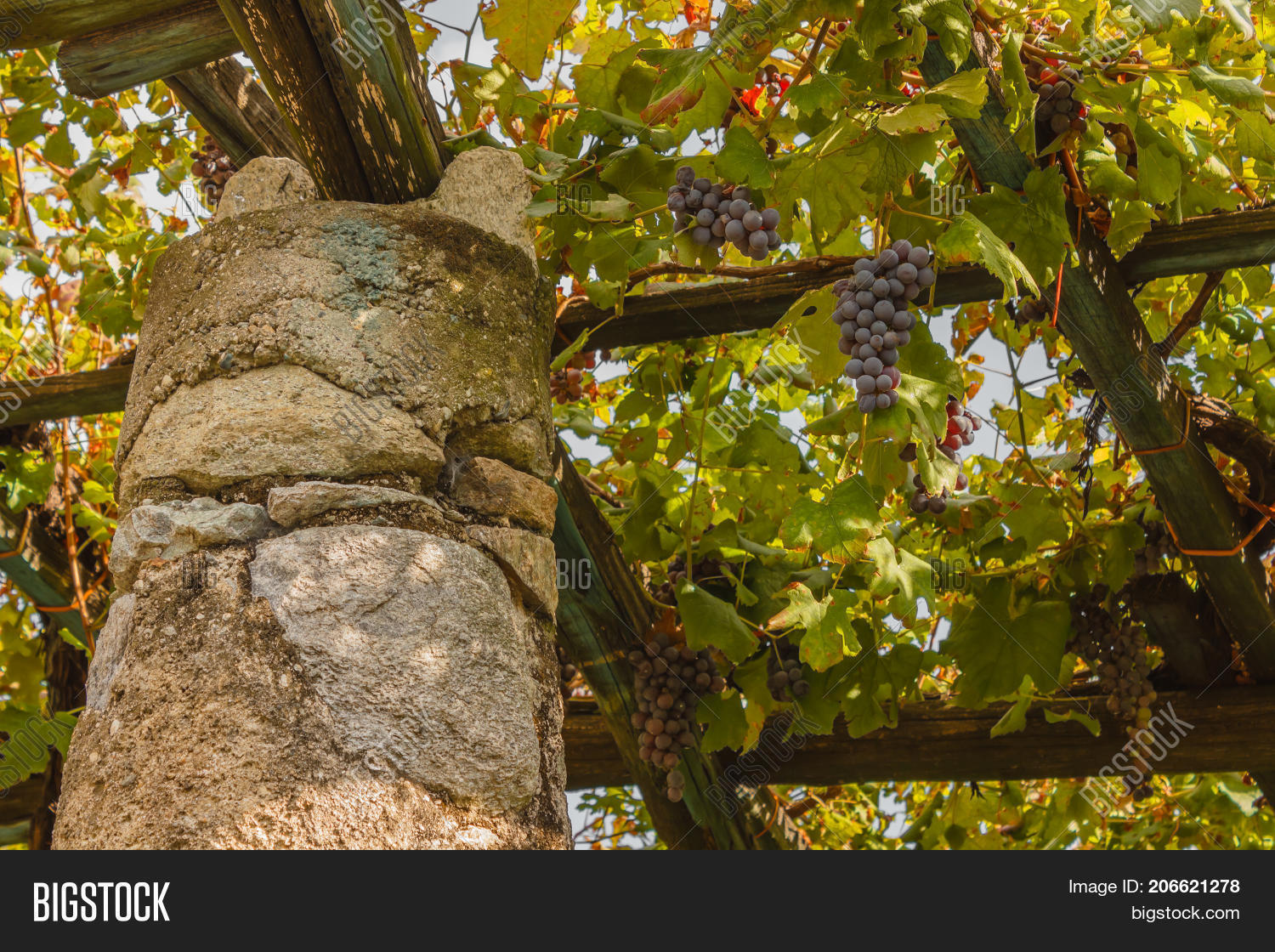 Characteristic Pylon Image & Photo (Free Trial) | Bigstock