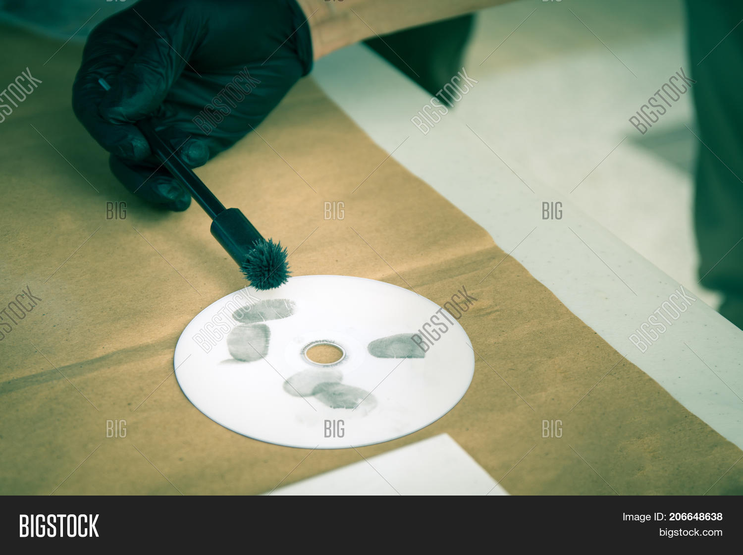Forensic Hand Glove Image & Photo (Free Trial) | Bigstock
