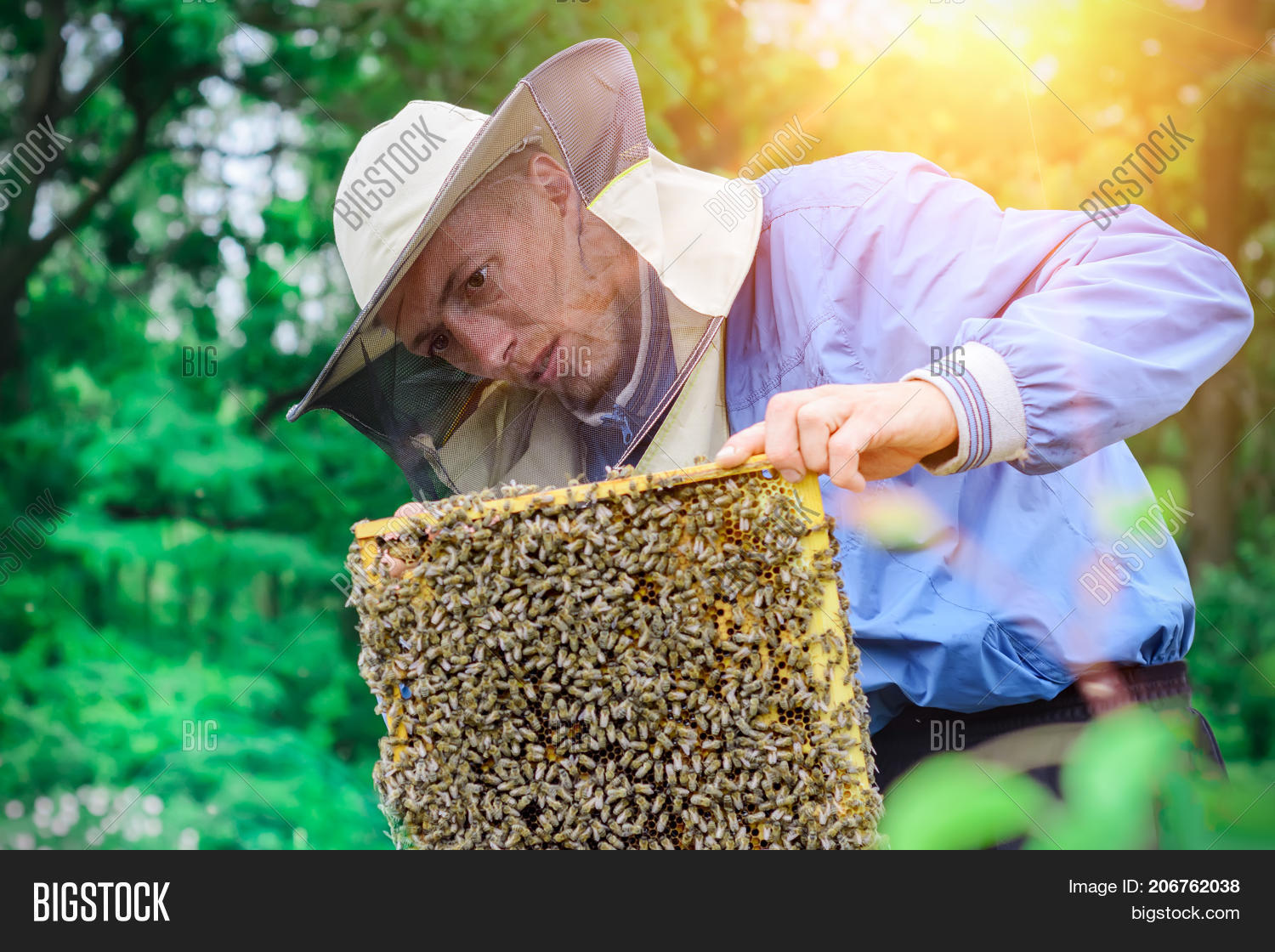 Beekeeper Works Bees Image & Photo (Free Trial) | Bigstock