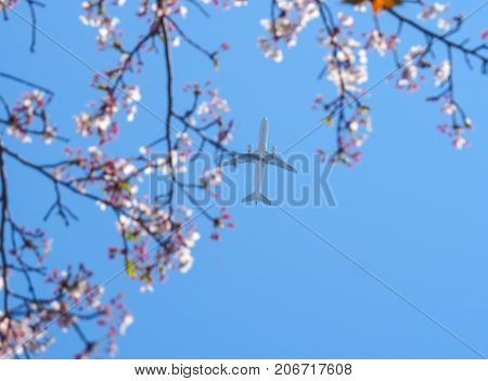 Plane Flying Through Image & Photo (Free Trial) | Bigstock