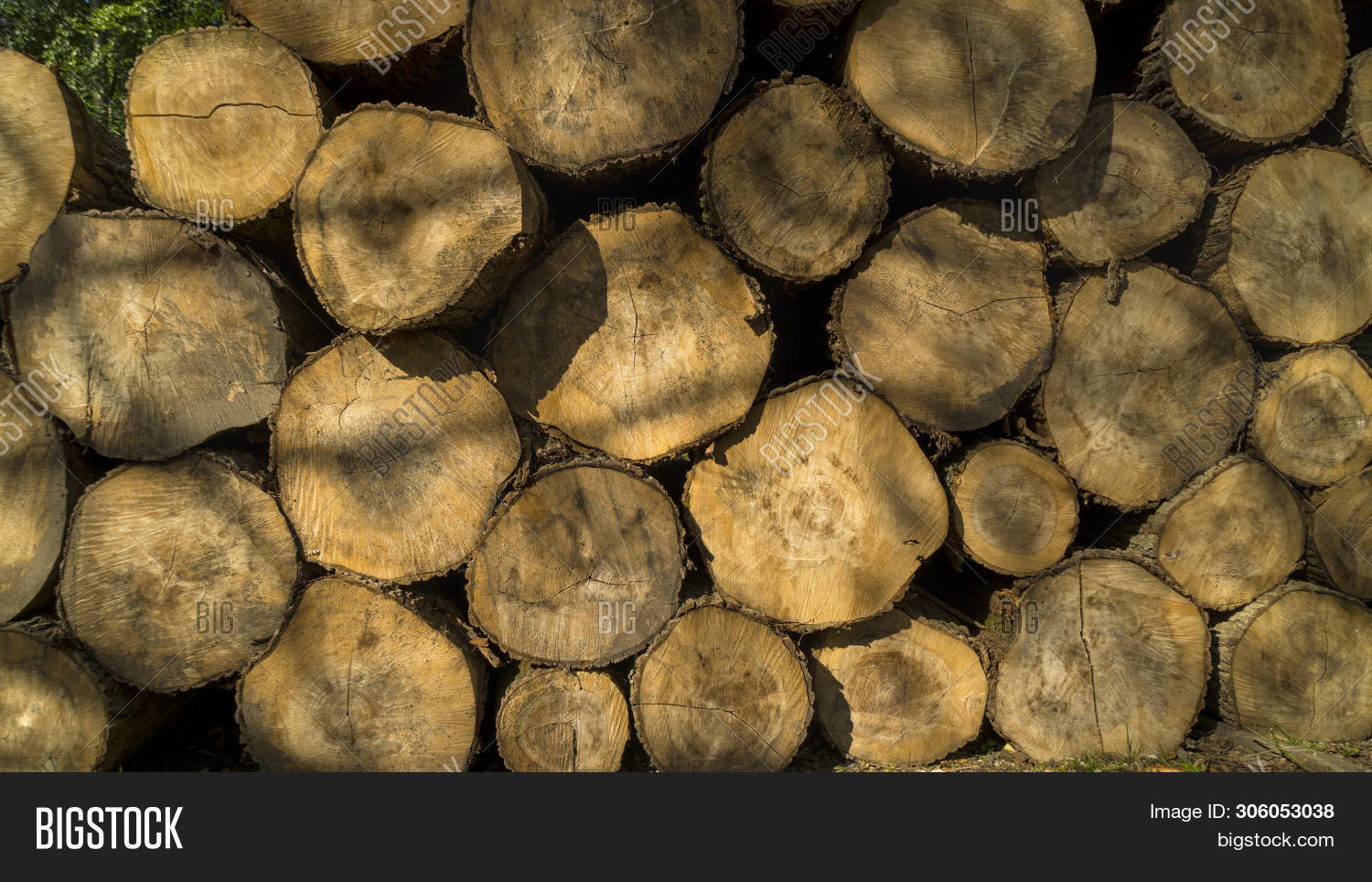 Felled Timber Stacked Image & Photo (Free Trial) | Bigstock