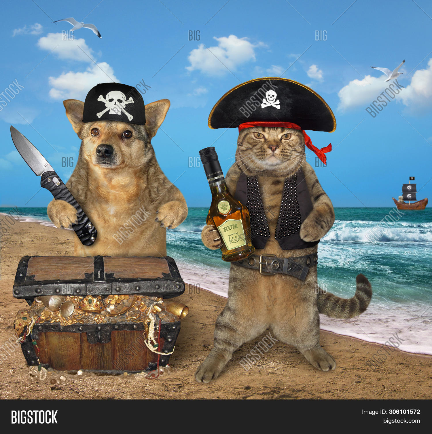 Cat Filibuster Bottle Image & Photo (Free Trial) | Bigstock