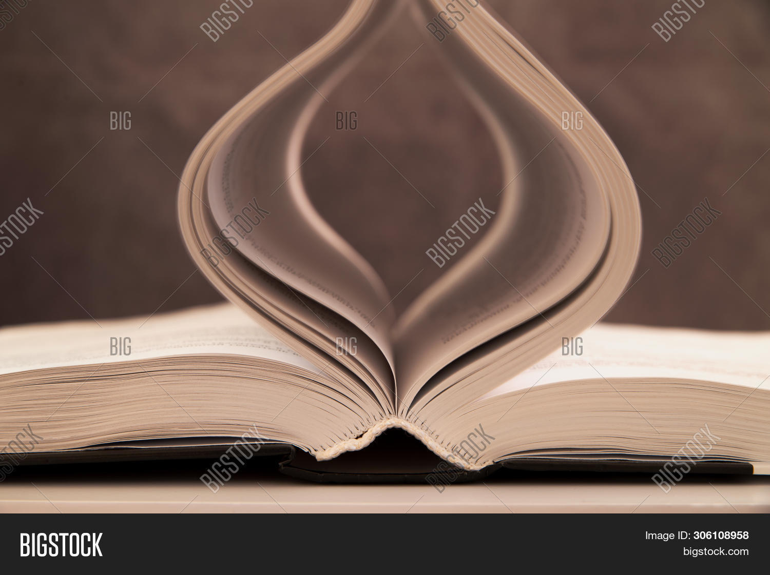 Open Book On Gray Image & Photo (Free Trial) | Bigstock