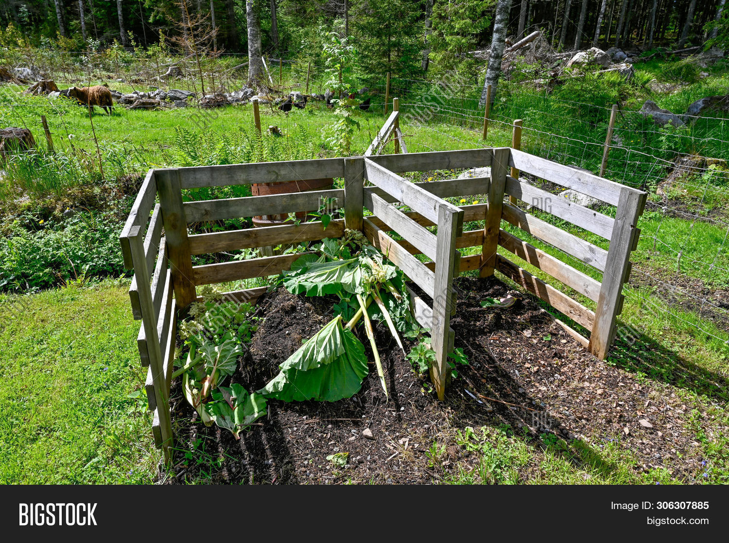 Garden Compost Image & Photo (Free Trial) | Bigstock