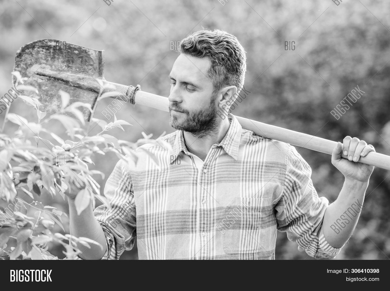 Farming Agriculture Image & Photo (Free Trial) | Bigstock