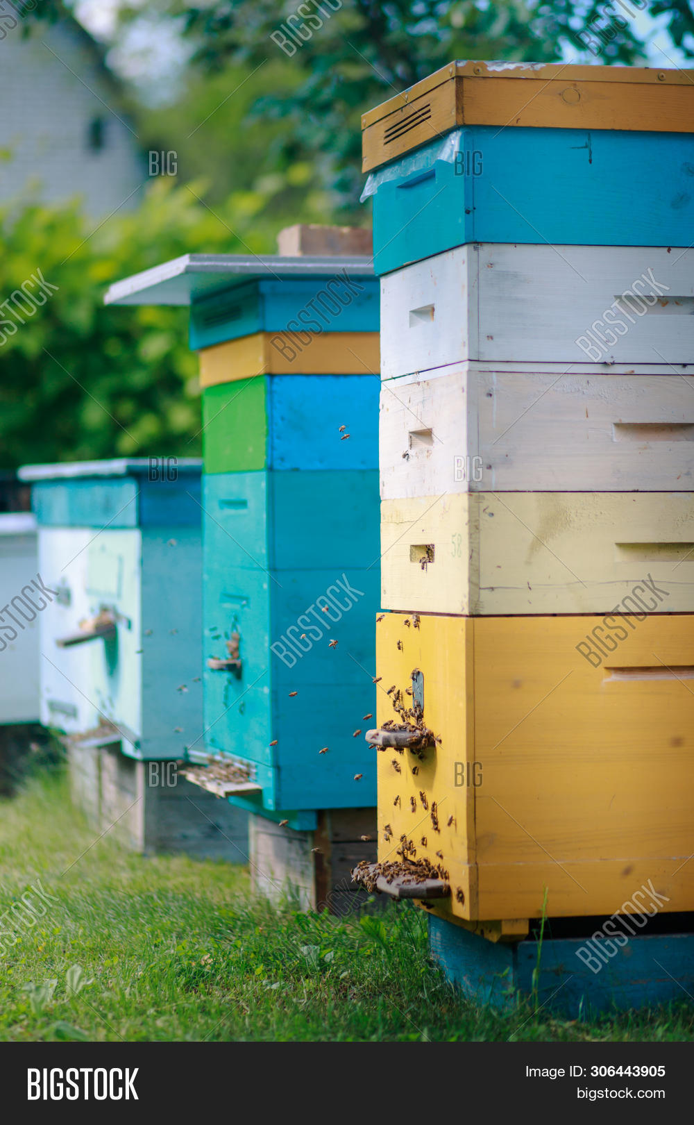 Background Beehives. Image & Photo (Free Trial) | Bigstock