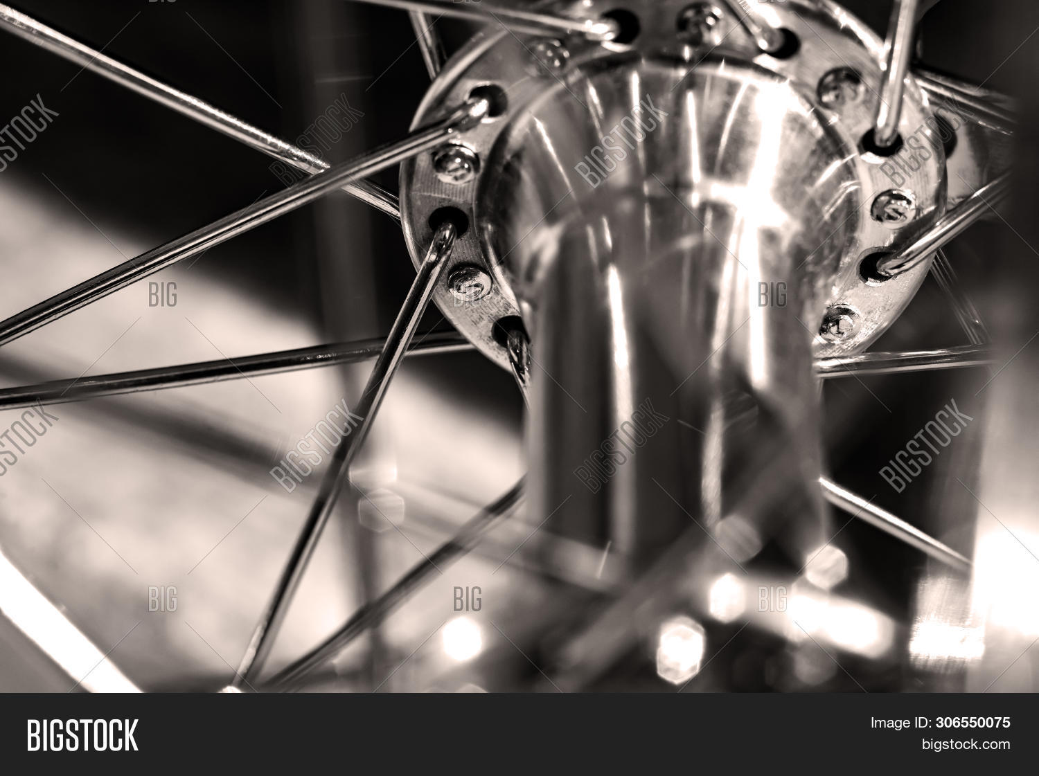 Front Bicycle Wheel Image & Photo (Free Trial) | Bigstock