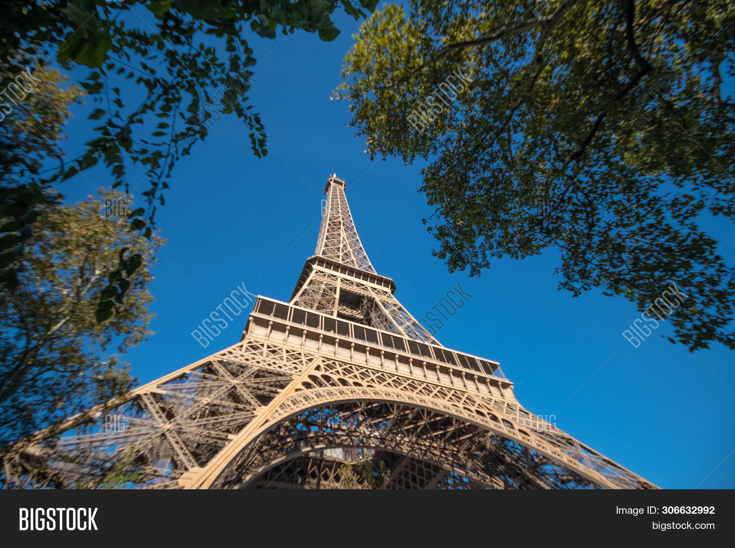 Eifel Tower Full Image & Photo (Free Trial) | Bigstock