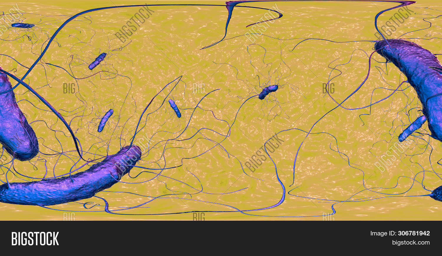 Clostridium Difficile Image & Photo (Free Trial) | Bigstock