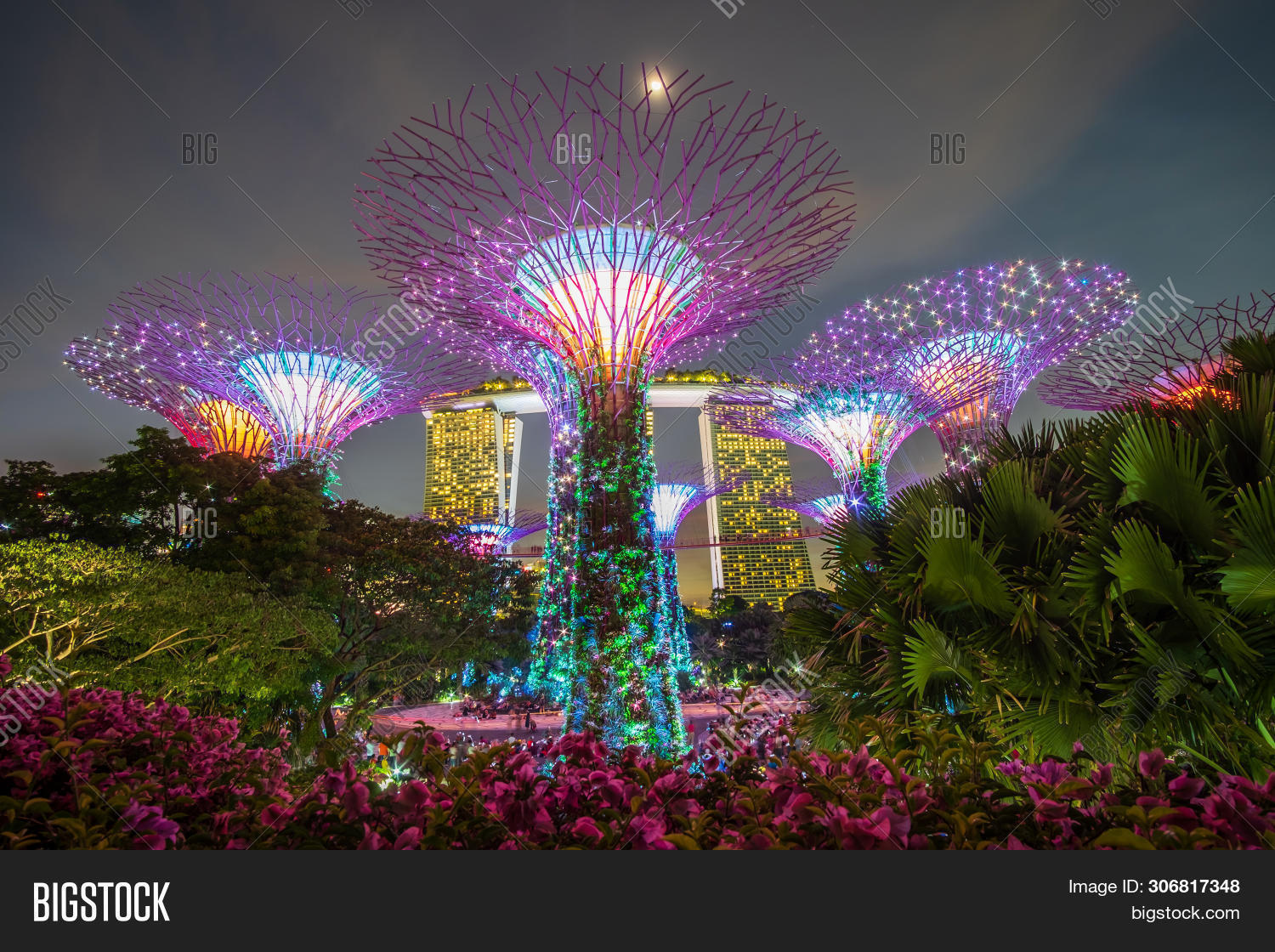 Supertree Groove Image & Photo (Free Trial) | Bigstock