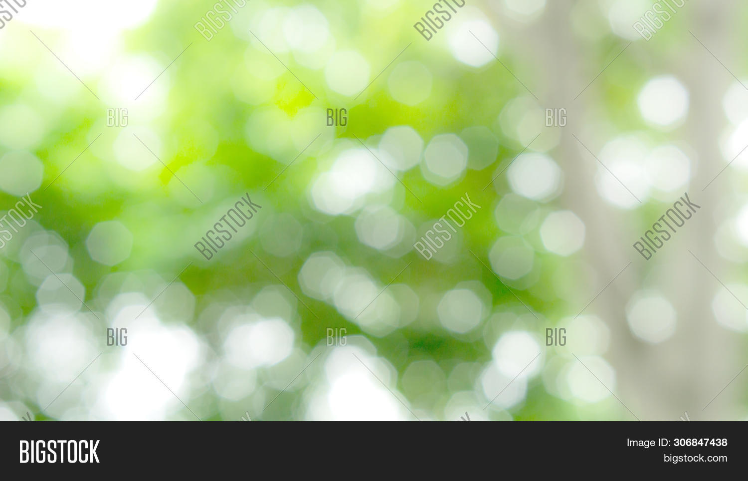Bokeh Green Tree Image & Photo (Free Trial) | Bigstock