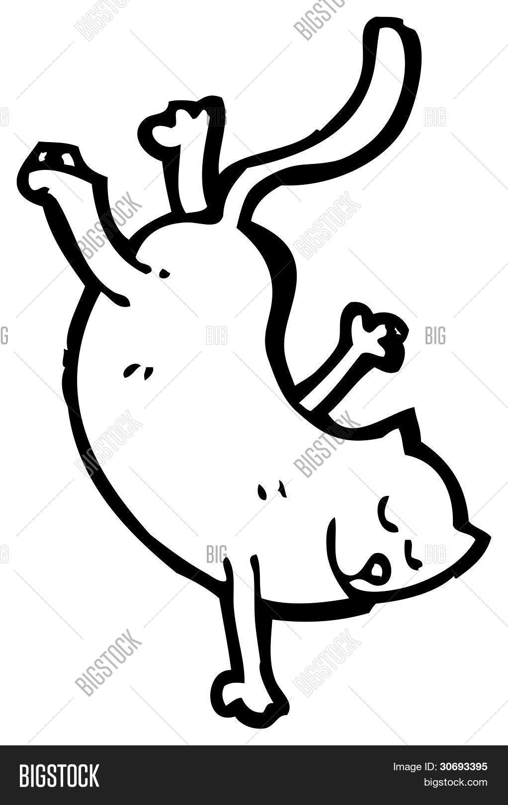 Dancing Cat Cartoon Image & Photo (Free Trial) | Bigstock