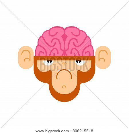 Monkey Brain. Gorilla Vector & Photo (Free Trial) | Bigstock