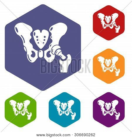 Hip Bone Icon. Simple Vector & Photo (Free Trial) | Bigstock