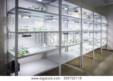 Racks Test Tubes Micro Image & Photo (Free Trial) | Bigstock