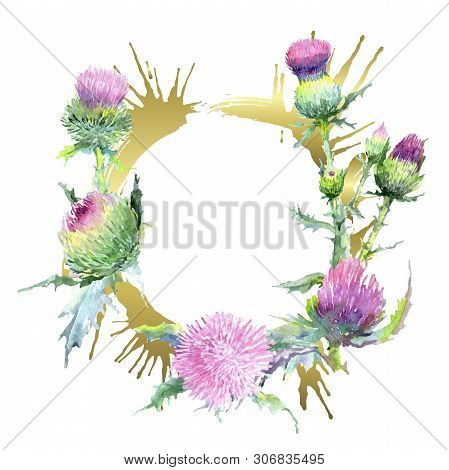 Thistle Border Images, Illustrations & Vectors (Free) - Bigstock