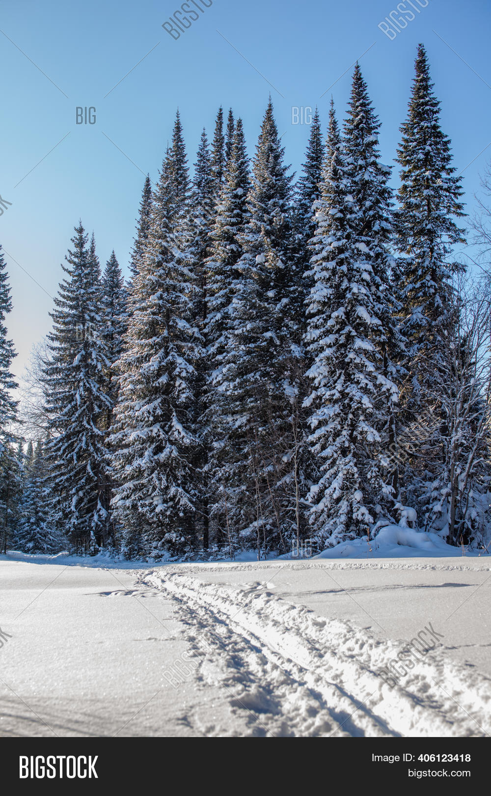 Walk Through Winter Image & Photo (Free Trial) | Bigstock