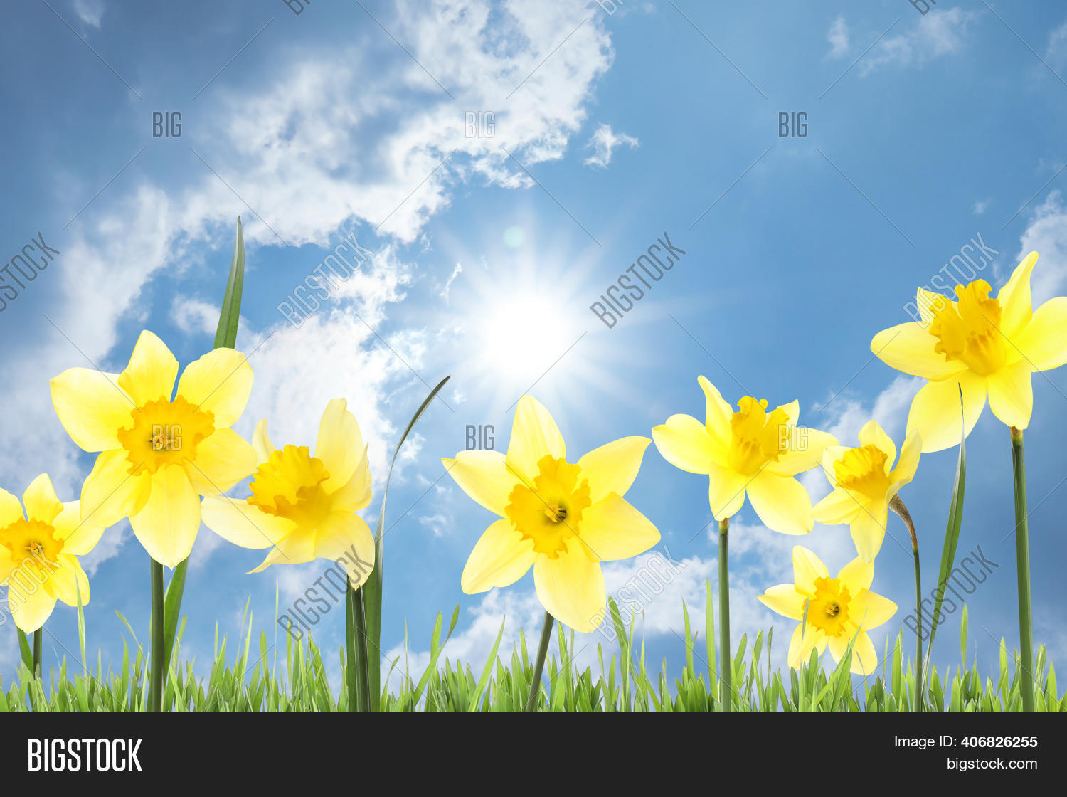 Beautiful Spring Image & Photo (Free Trial) | Bigstock
