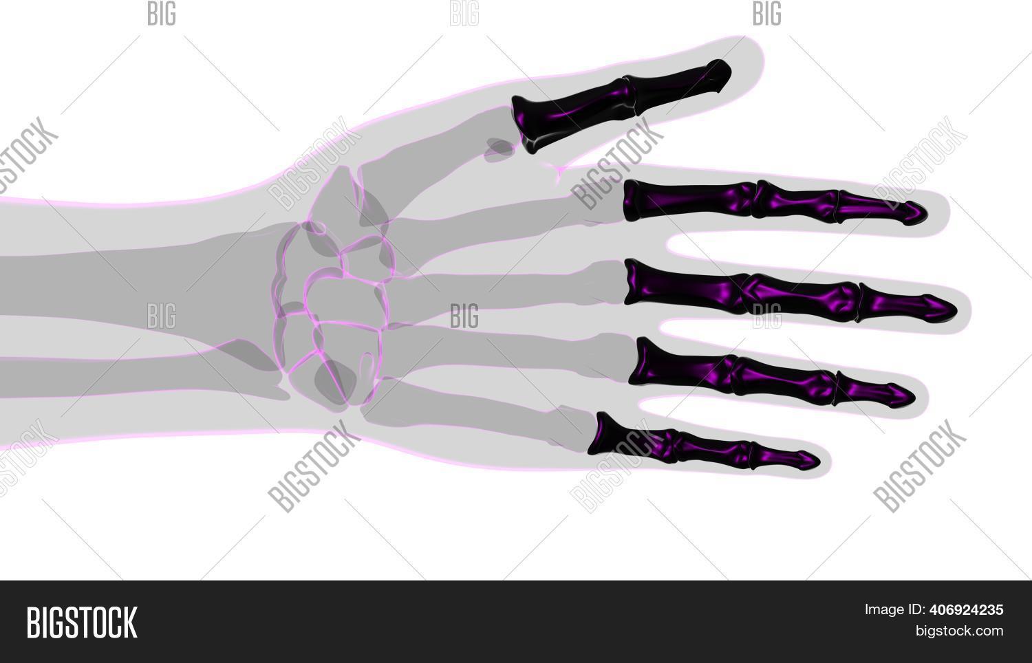 ภาพและภาพถ่าย (ทดลองใช้ฟรี) | Bigstock