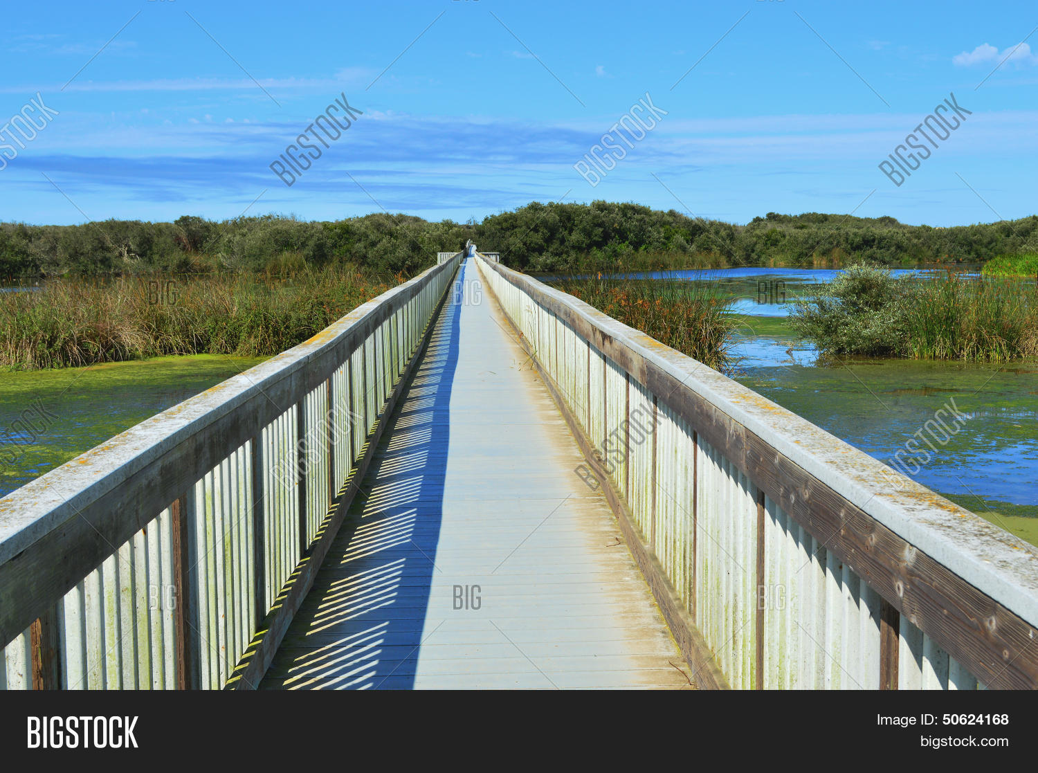 Bridge Over Oso Flaco Image & Photo (Free Trial) | Bigstock