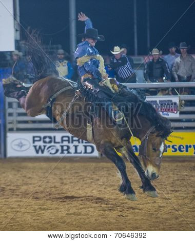 Clark County Fair Image & Photo (Free Trial) | Bigstock