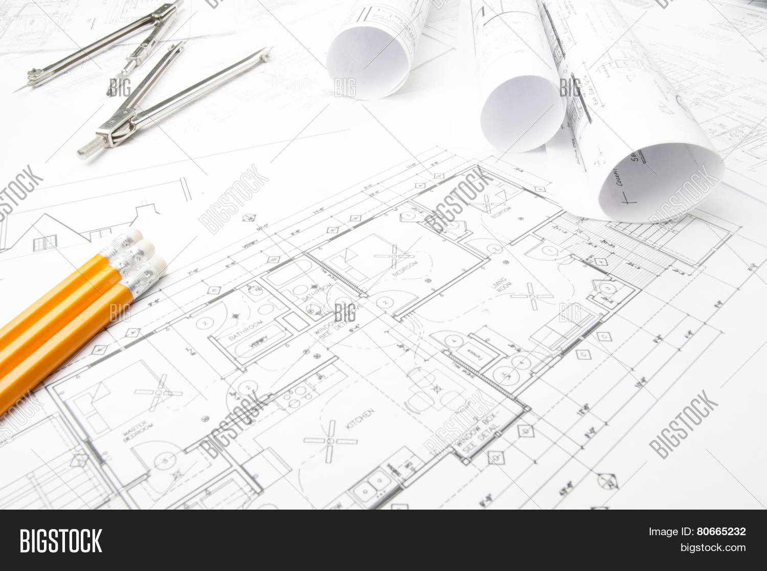 : изображения и фото (бесплатная пробная версия) | Bigstock