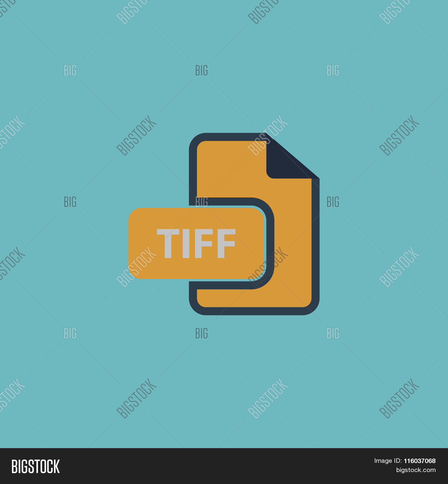 TIFF Image File Vector & Photo (Free Trial) | Bigstock