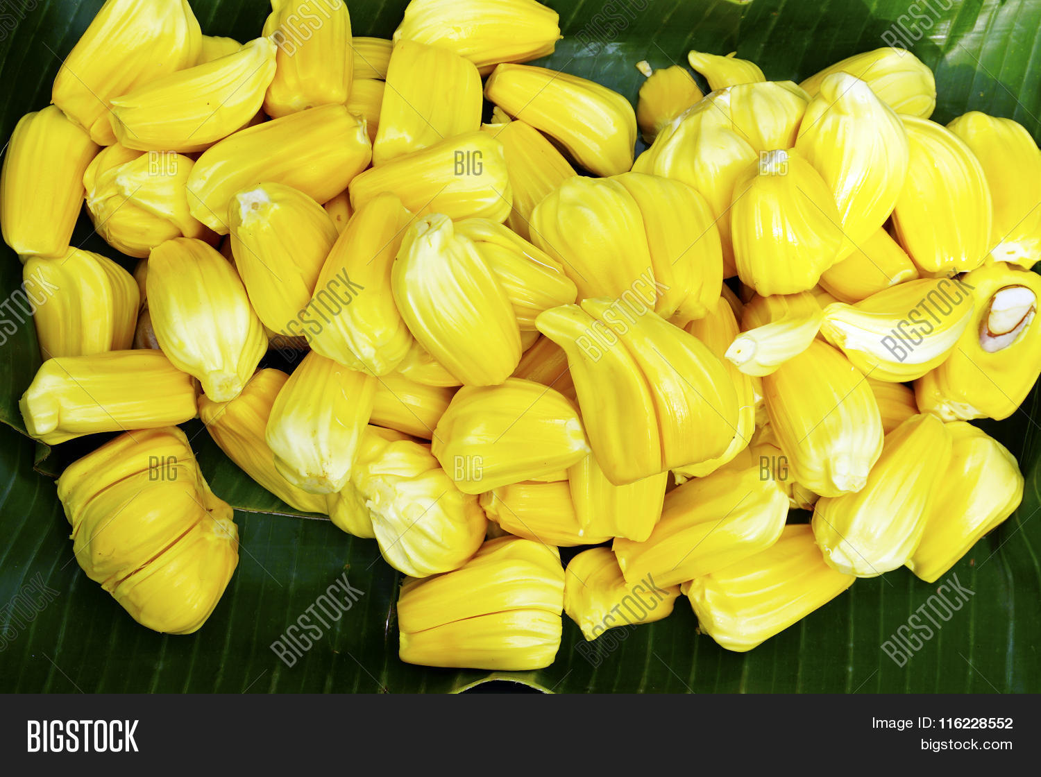 Yellow Jackfruit Fresh Image & Photo (Free Trial) | Bigstock