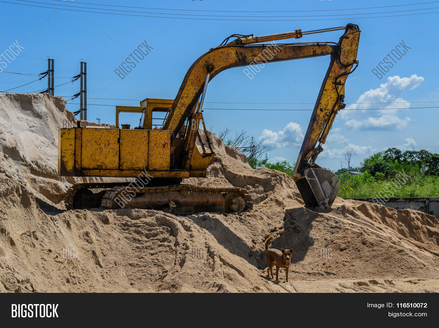 Crawler Loader Image & Photo (Free Trial) | Bigstock