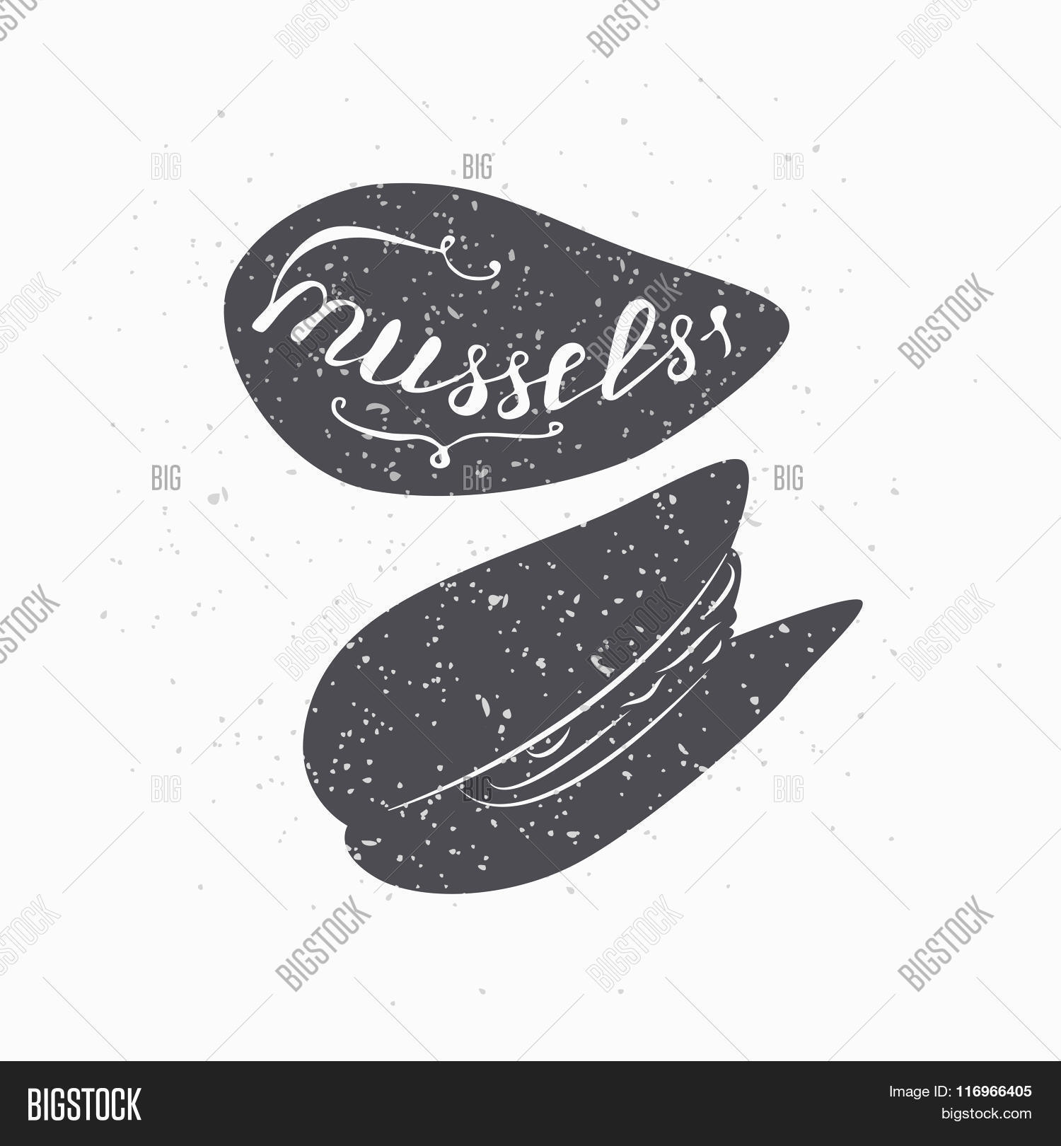 Hand Drawn Mussels Vector & Photo (Free Trial) | Bigstock
