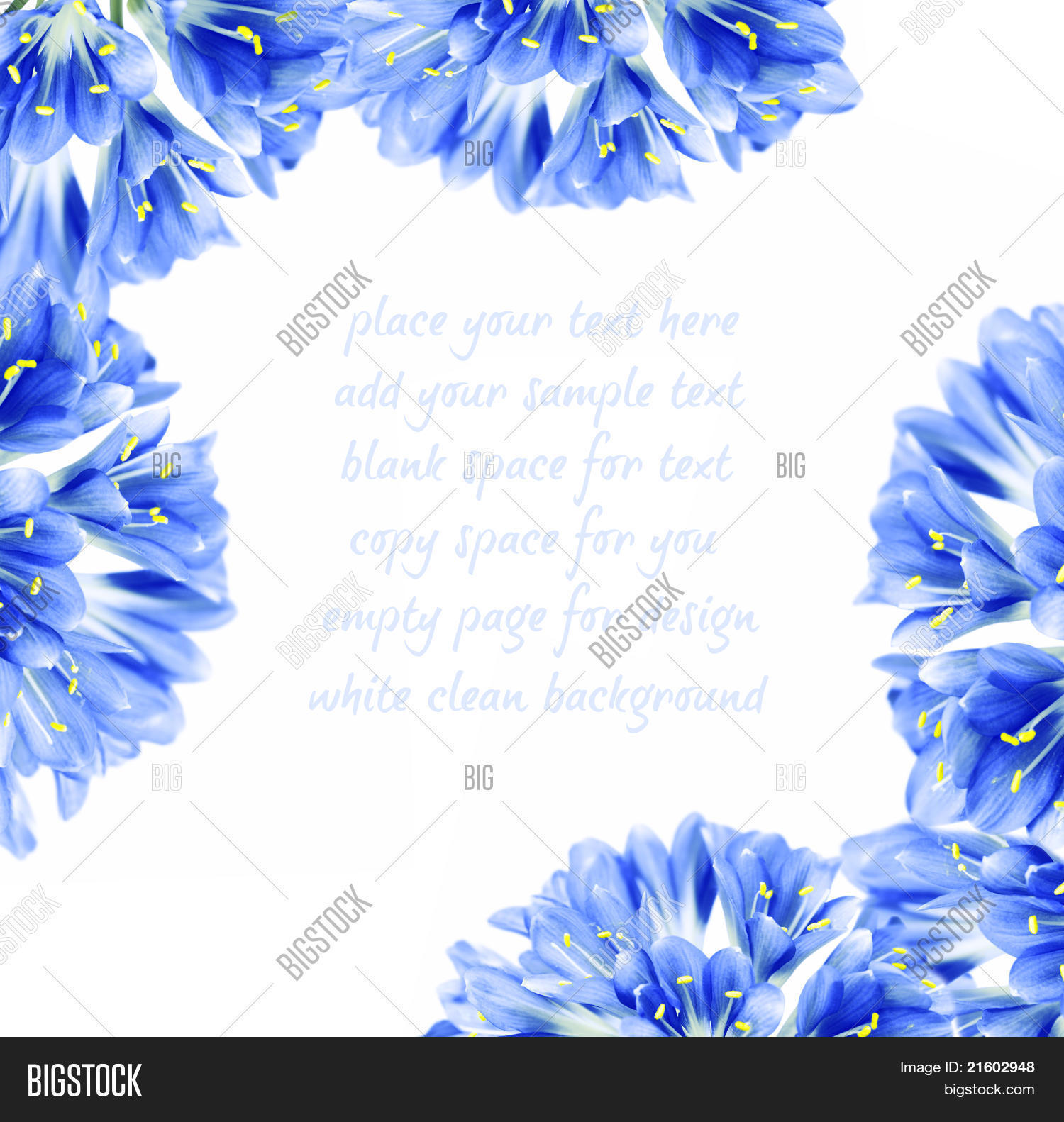 Blue Flower Border Image & Photo (Free Trial) | Bigstock