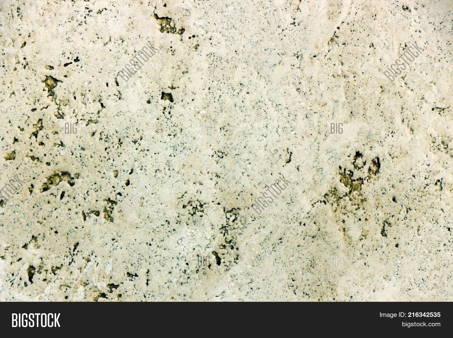 Perla Classic Image & Photo (Free Trial) | Bigstock