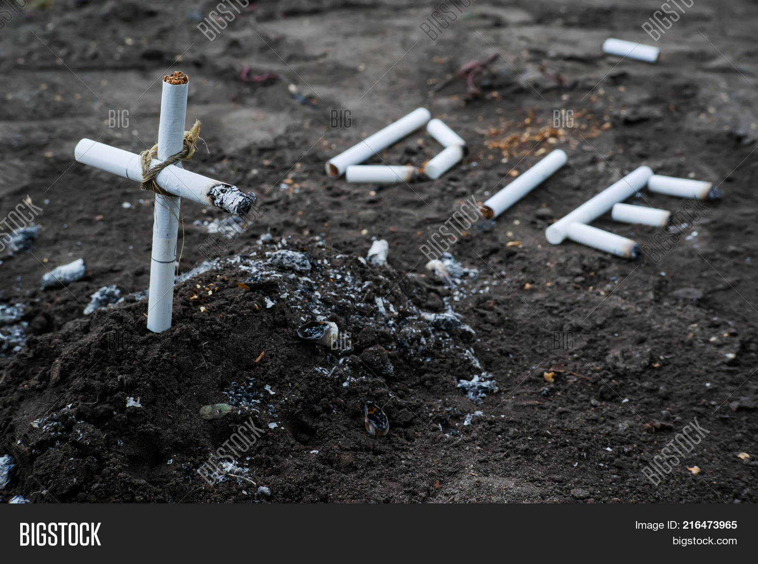 Symbolic Grave Tobacco Image & Photo (Free Trial) | Bigstock